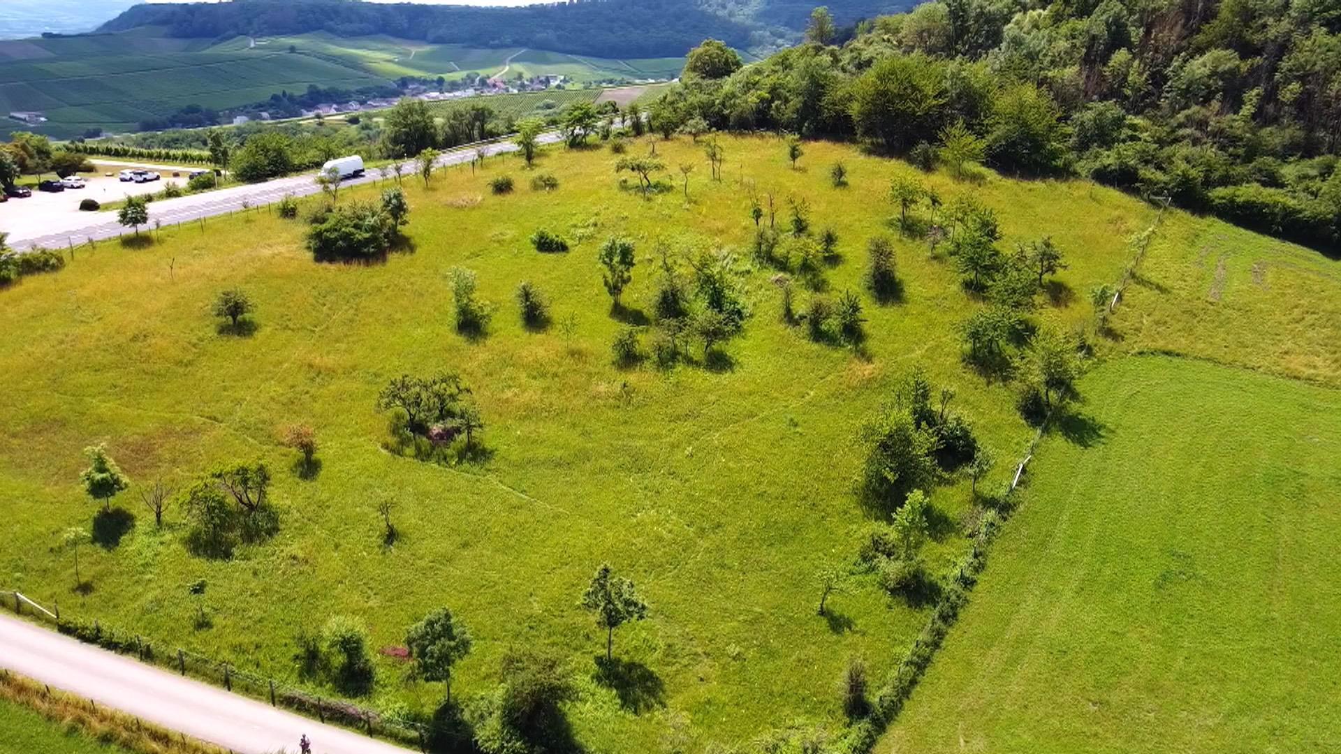 40 Joer Stëftung Hëllef fir d'Natur: « Scheierbierg » - Nordliicht 26. ...
