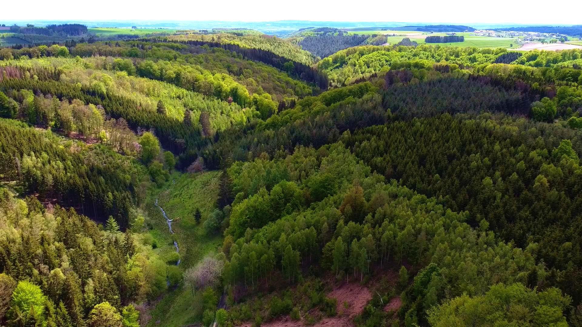 40 Joer Stëftung Hëllef fir d'Natur: « Éimeschbaach » - Nordliicht 25. ...