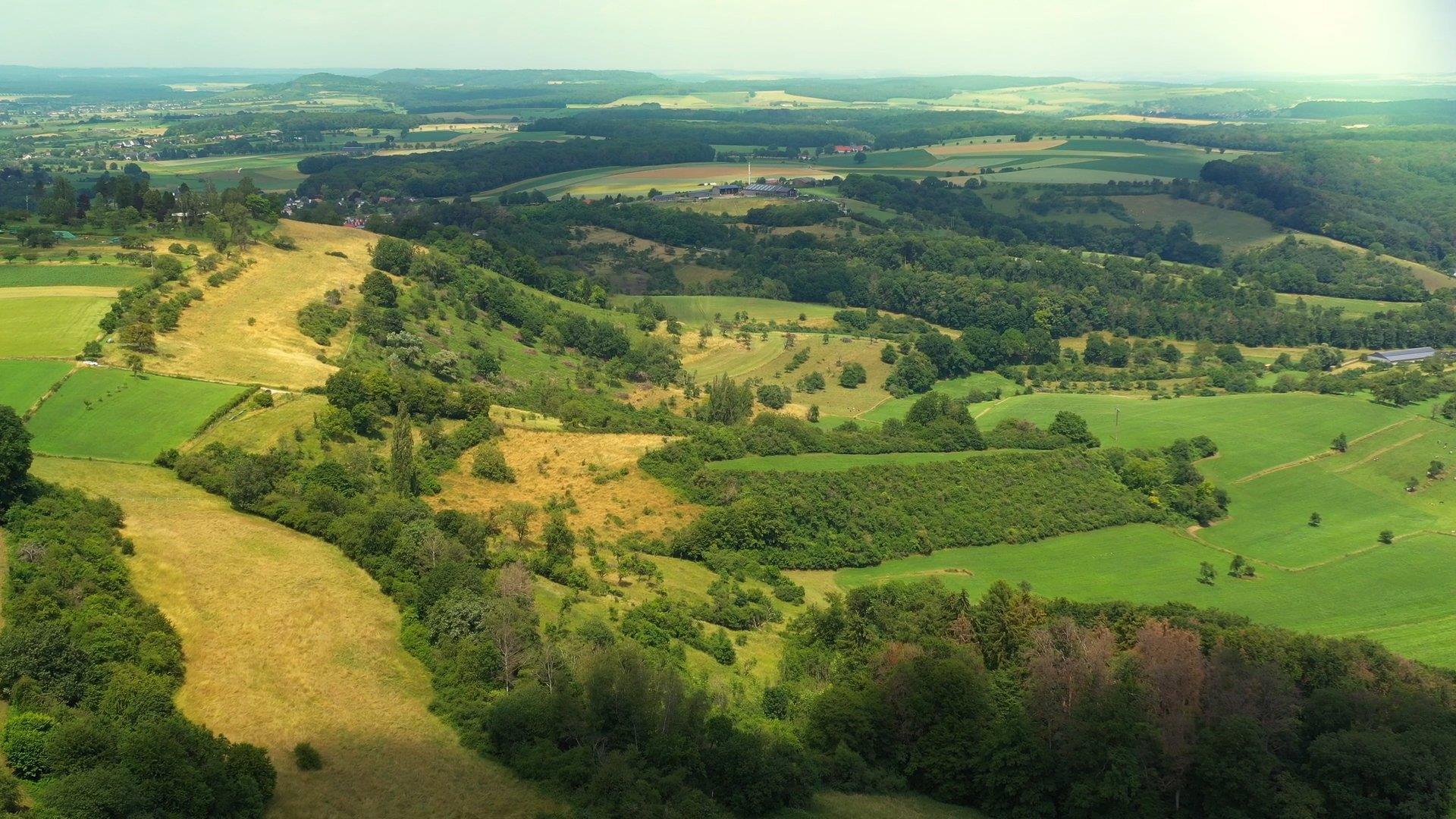 40 Joer Stëftung Hëllef fir d'Natur: « Trëntenger Dall » - Nordliicht ...