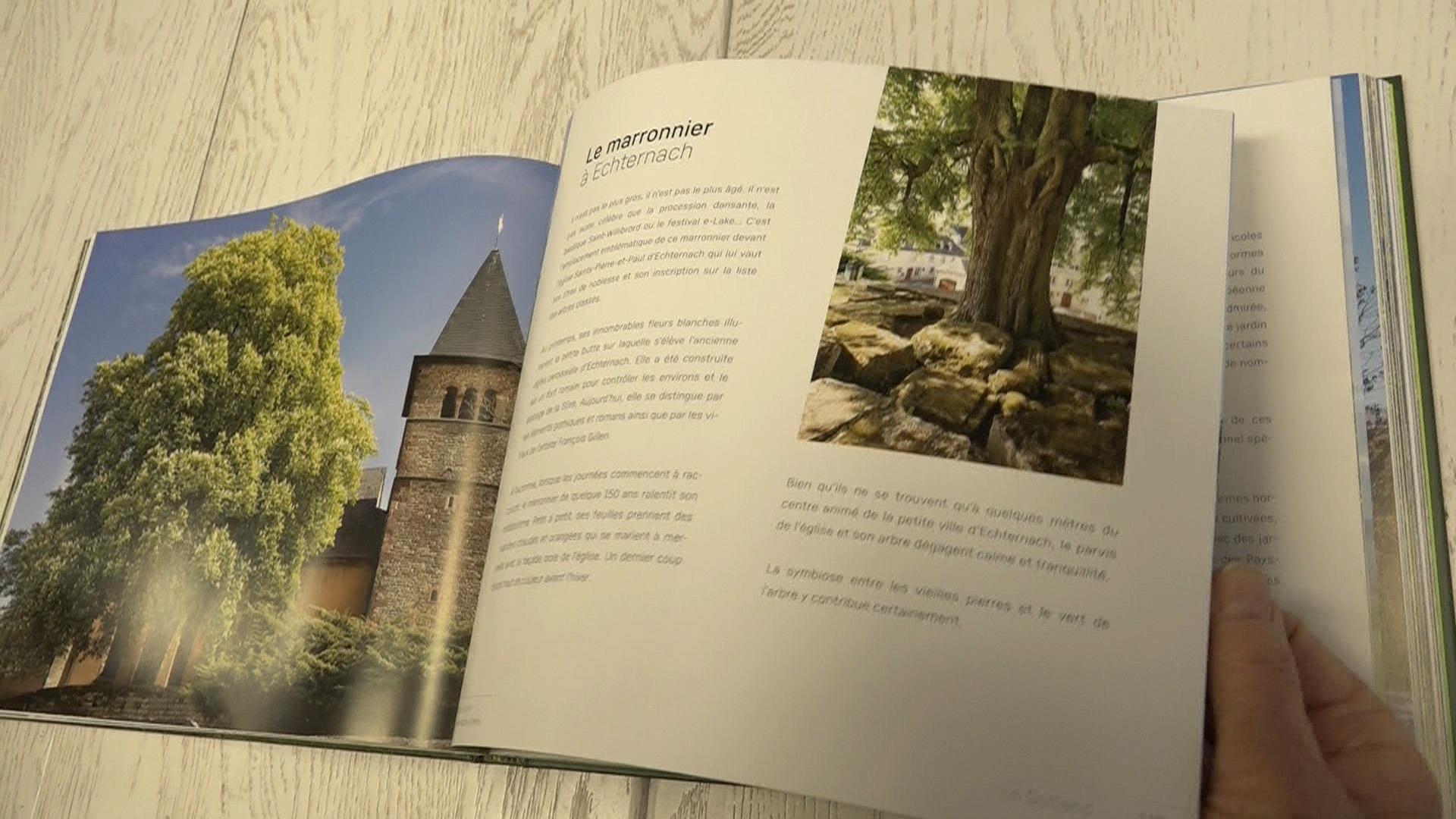 Remarkabel Beem zu Lëtzebuerg - Nordliicht 21.02.2024 - Nordliicht